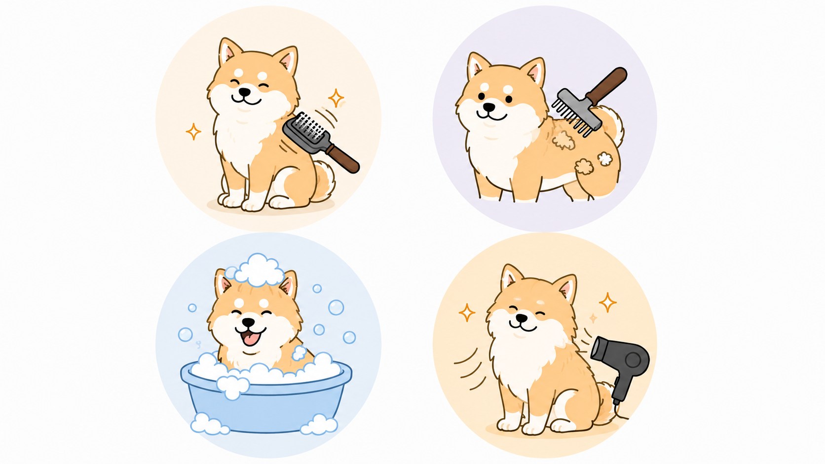 Dog Grooming Steps: The Complete Home Sequence with Tools, Timings and ...